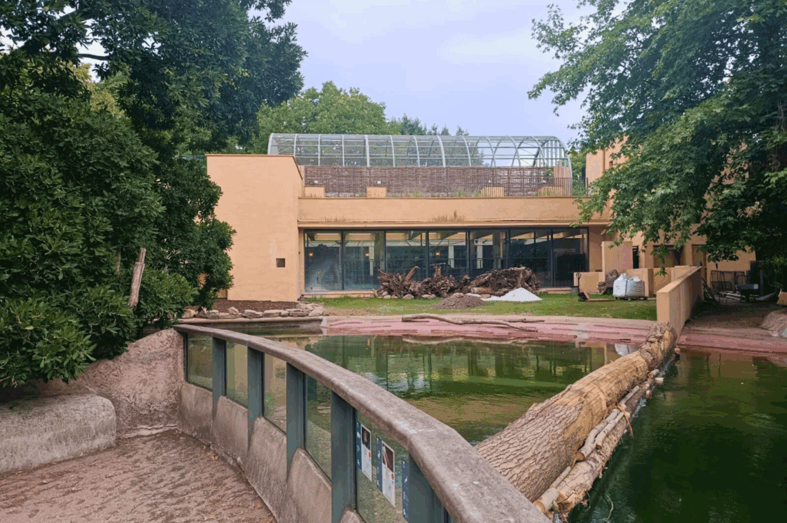 Zoo Antwerpen heropent nijlpaardenhuis na verbouwing: zes diersoorten ...