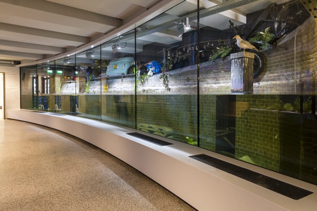 Artis opent vernieuwd aquarium: 250 diersoorten, tientallen aquaria en ...